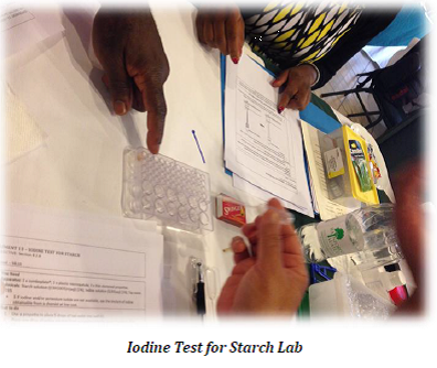 NIHERST | Microscience TT